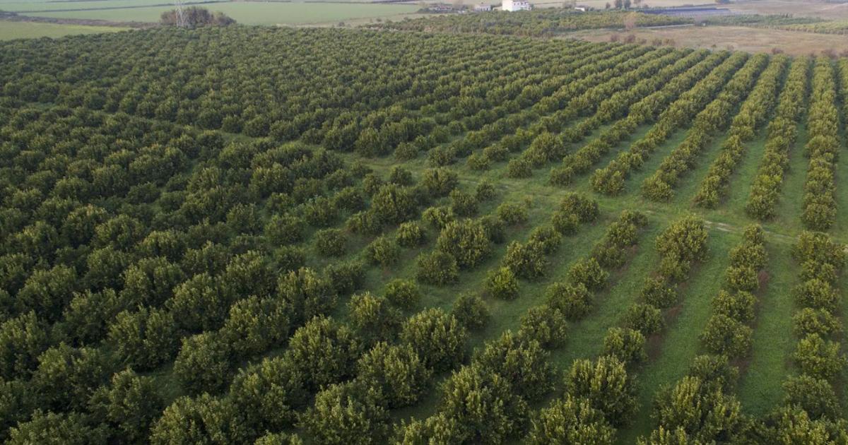 COAB Soc. Coop Agr.: Storia e Prodotti - Produttori Cortilia