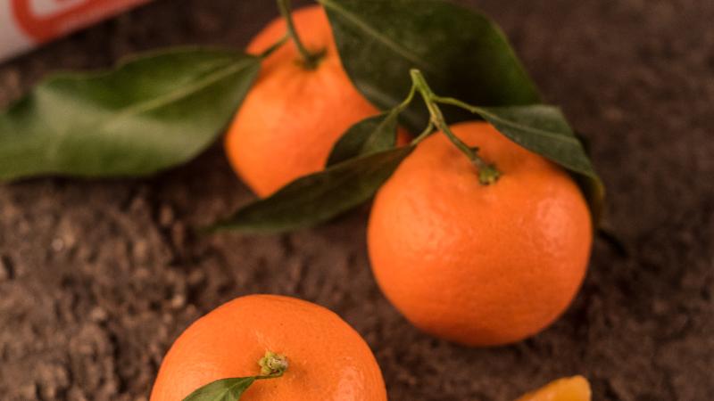 COAB Soc. Coop Agr.: Storia e Prodotti - Produttori Cortilia