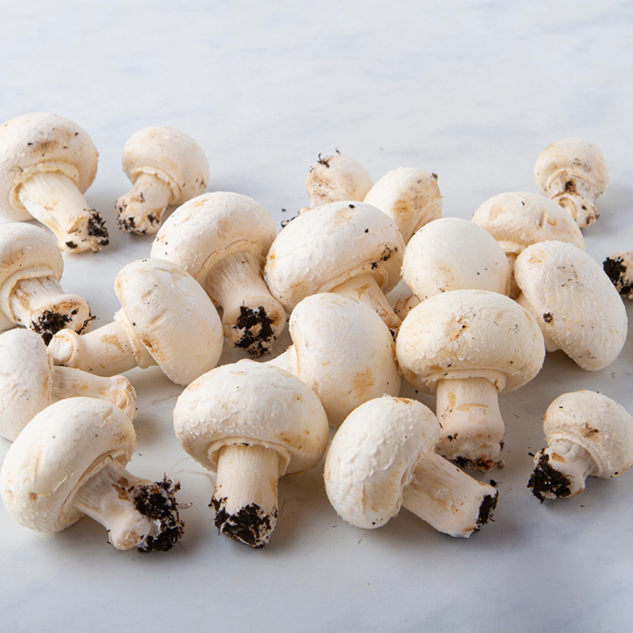 Acquistare Funghi champignon online