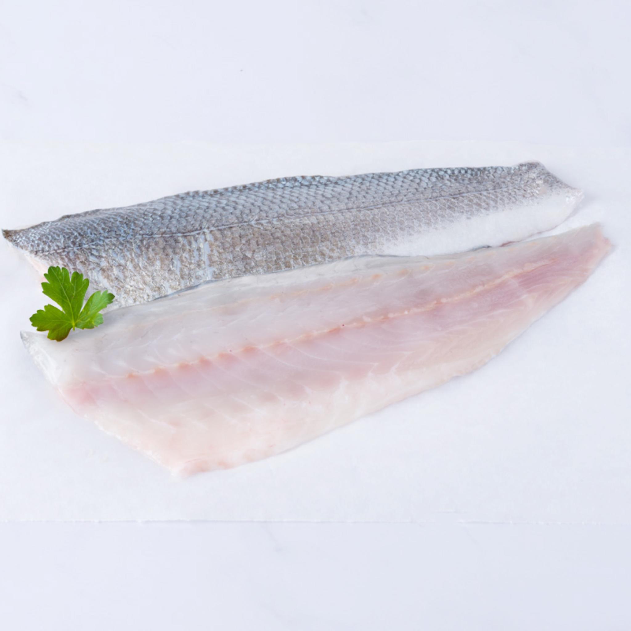 Acquistare Filetti di Branzino italiano allevato in mare aperto online